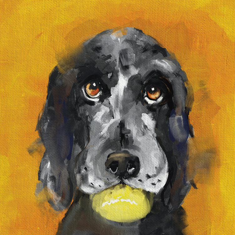 The Art File - Harold The Dog– Postmark