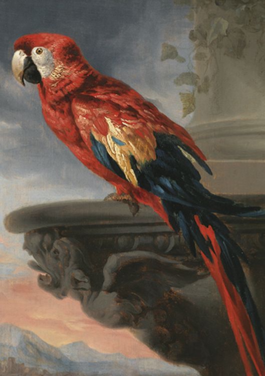 The Courtauld Collection - Parrot– Postmark